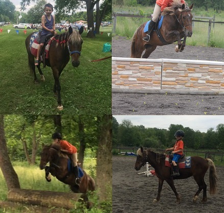 Short Stirrup Ponies for Lease Children's Kids Ponies for Sale Pennsylvania